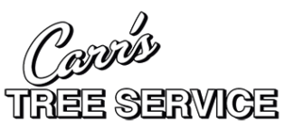 Contact Us | Carr’s Tree Service – Minnesota