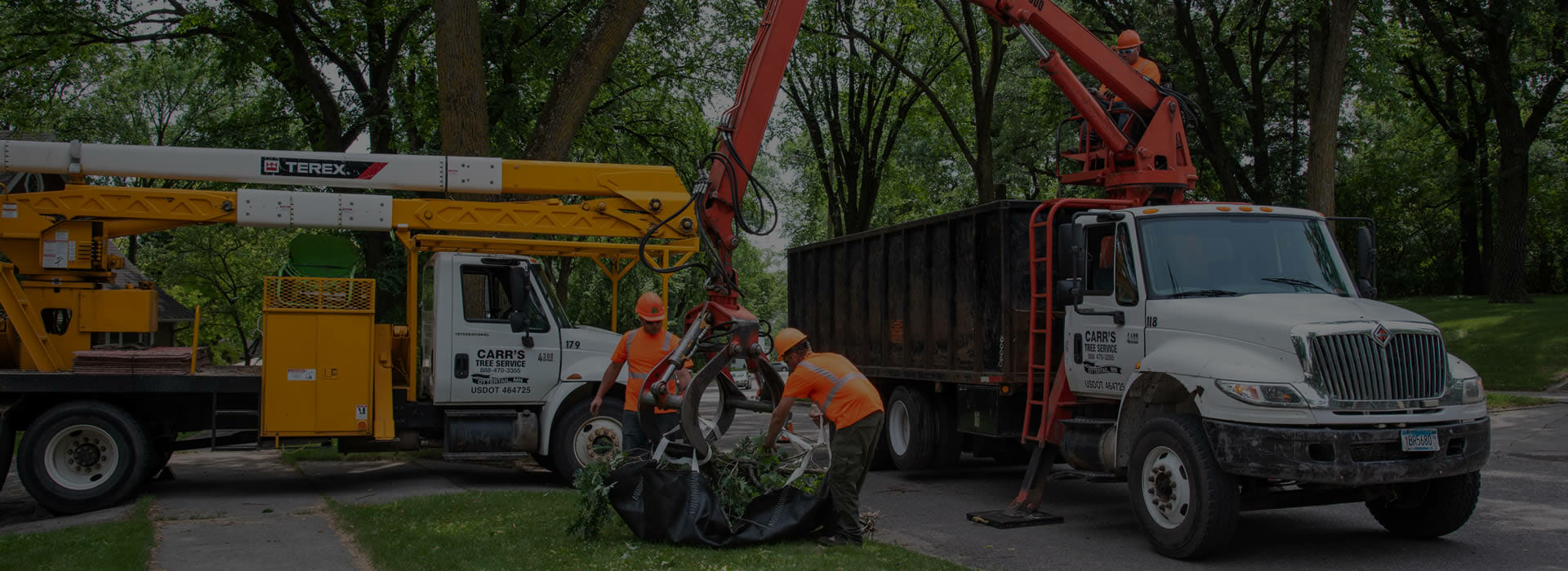 Home | Carr’s Tree Service – Minnesota