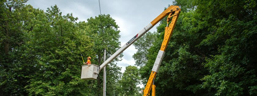 Utility Tree Services | Carr’s Tree Service – Minnesota