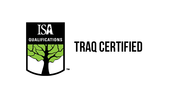 Home | Carr’s Tree Service – Minnesota