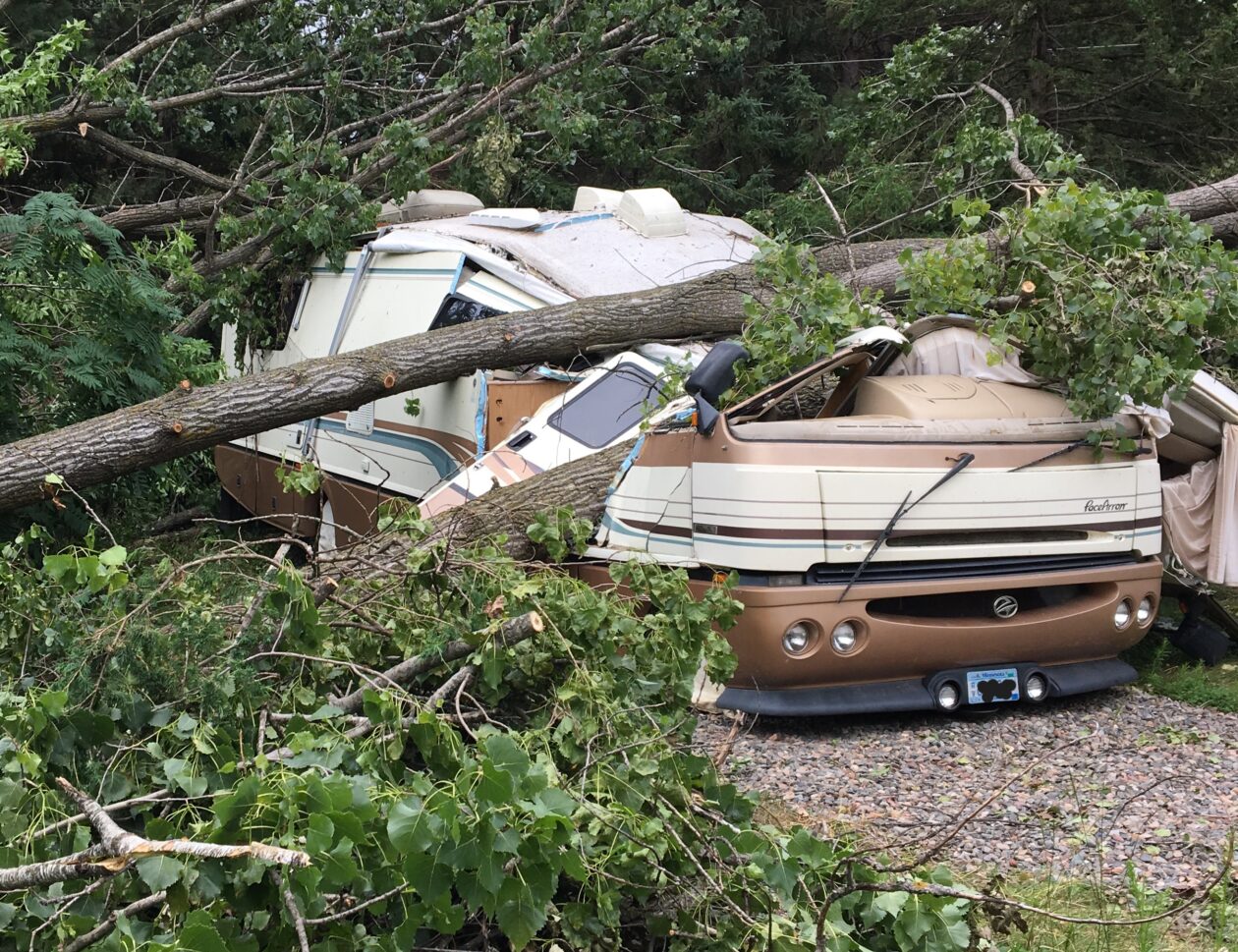 Residential Tree Services | Carr’s Tree Service – Minnesota