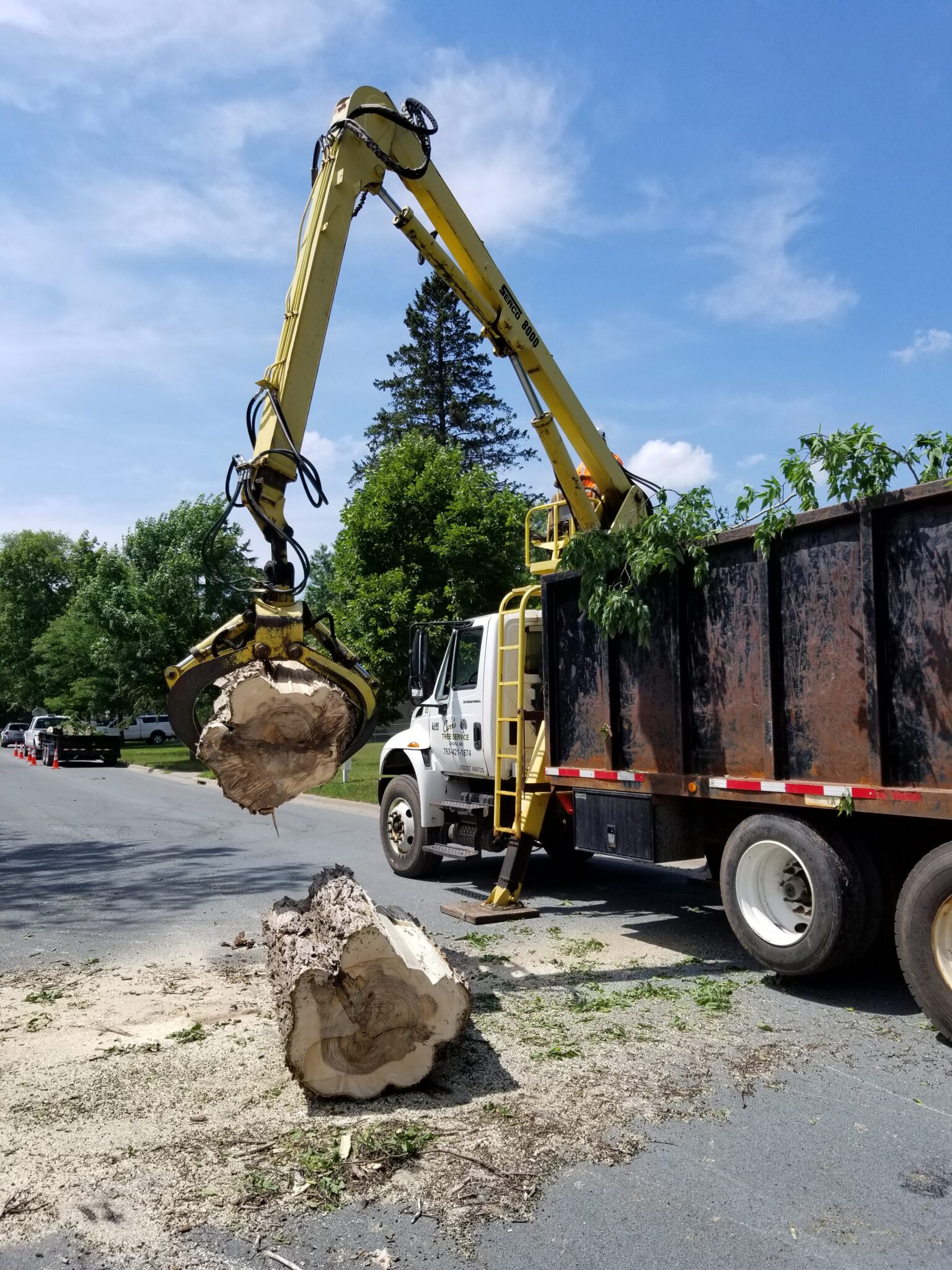 Residential Tree Services | Carr’s Tree Service – Minnesota