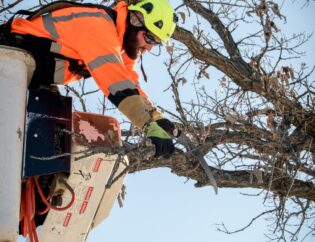 Residential Tree Services | Carr’s Tree Service – Minnesota